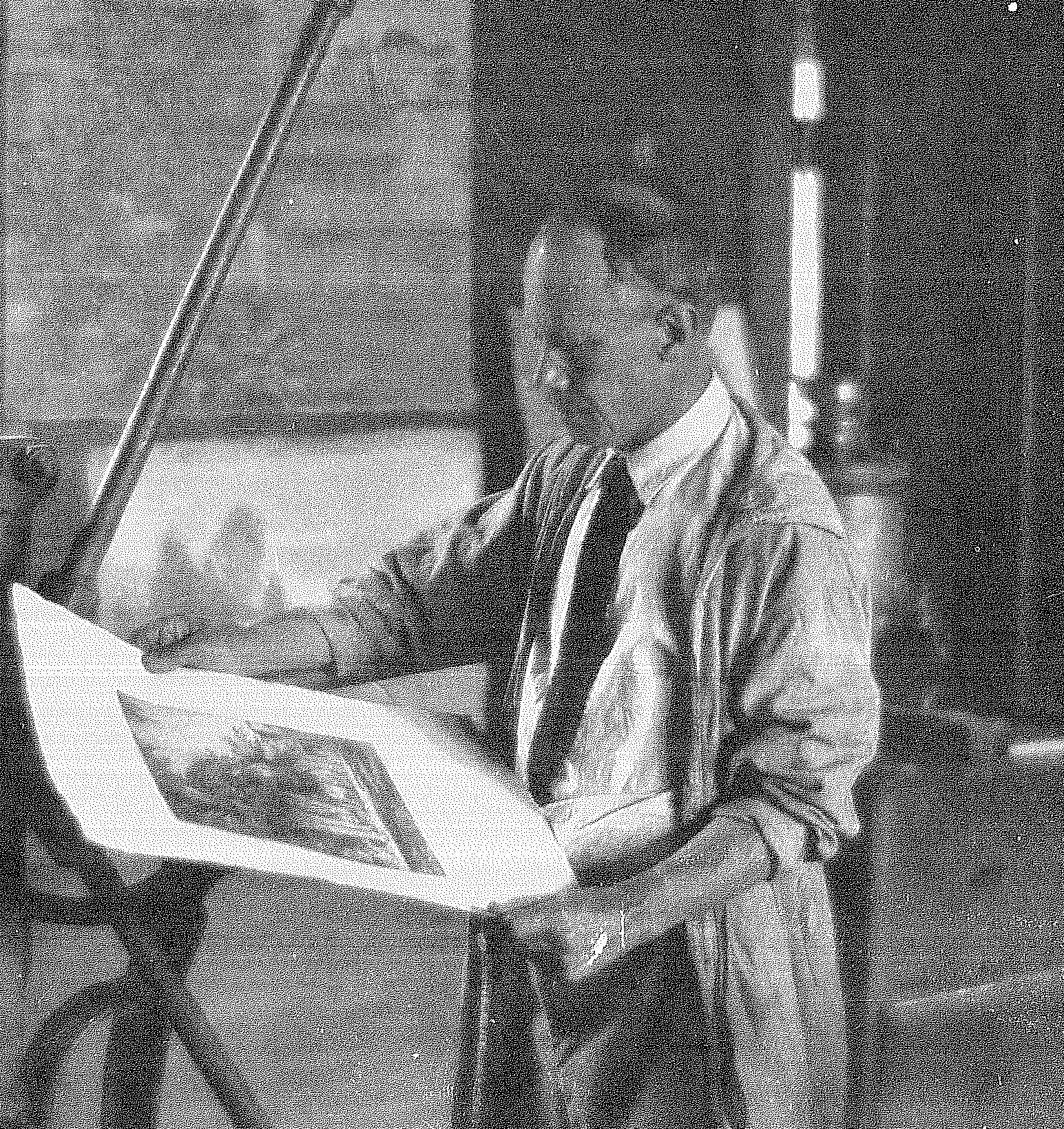 L. O. Griffith